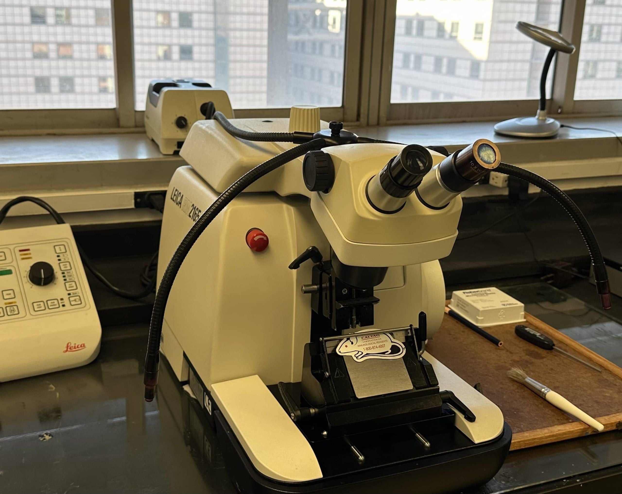BRI Microscopic Techniques Core | Research Cores